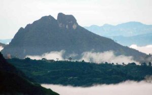 Guía del Parque Nacional Tatamá: Aves, Rutas y Montezuma